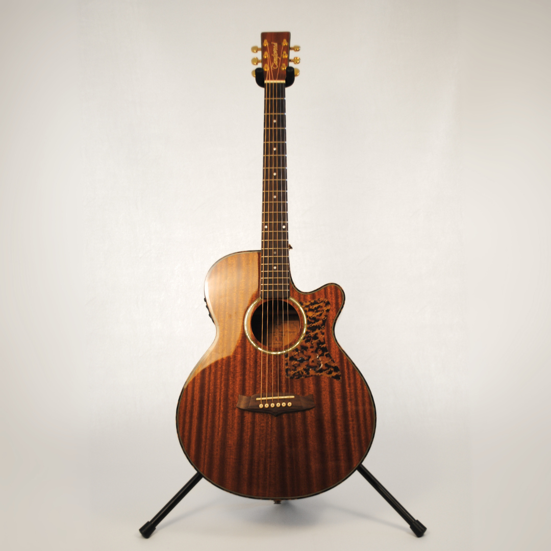 Hall of Fame: Tanglewood Sundance Reserve TW47 R E Acoustic Guitar ...