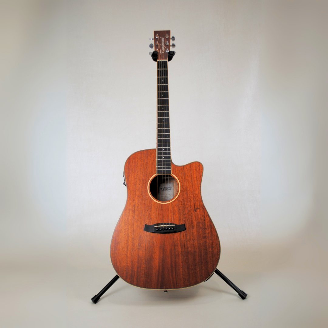 Hall of Fame: 2024 Tanglewood TUN5CE Union Series Acoustic Guitar ...