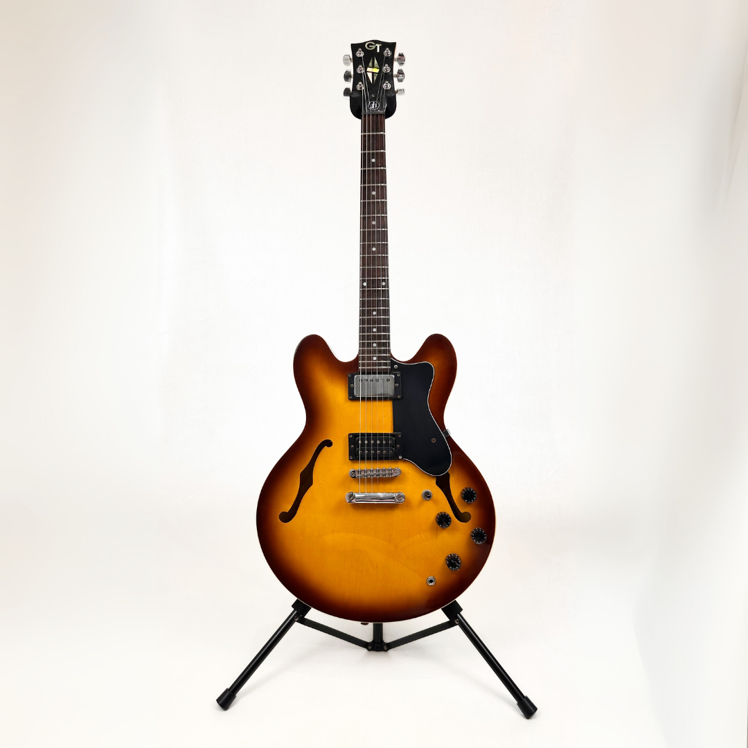 Hall of Fame: GT Guitar Technology Status Series Semi-Hollowbody 335-S ...