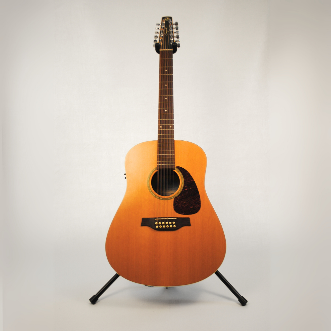 Hall of Fame: Seagull Coastline S12 Cedar QI 12 String Acoustic Guitar ...