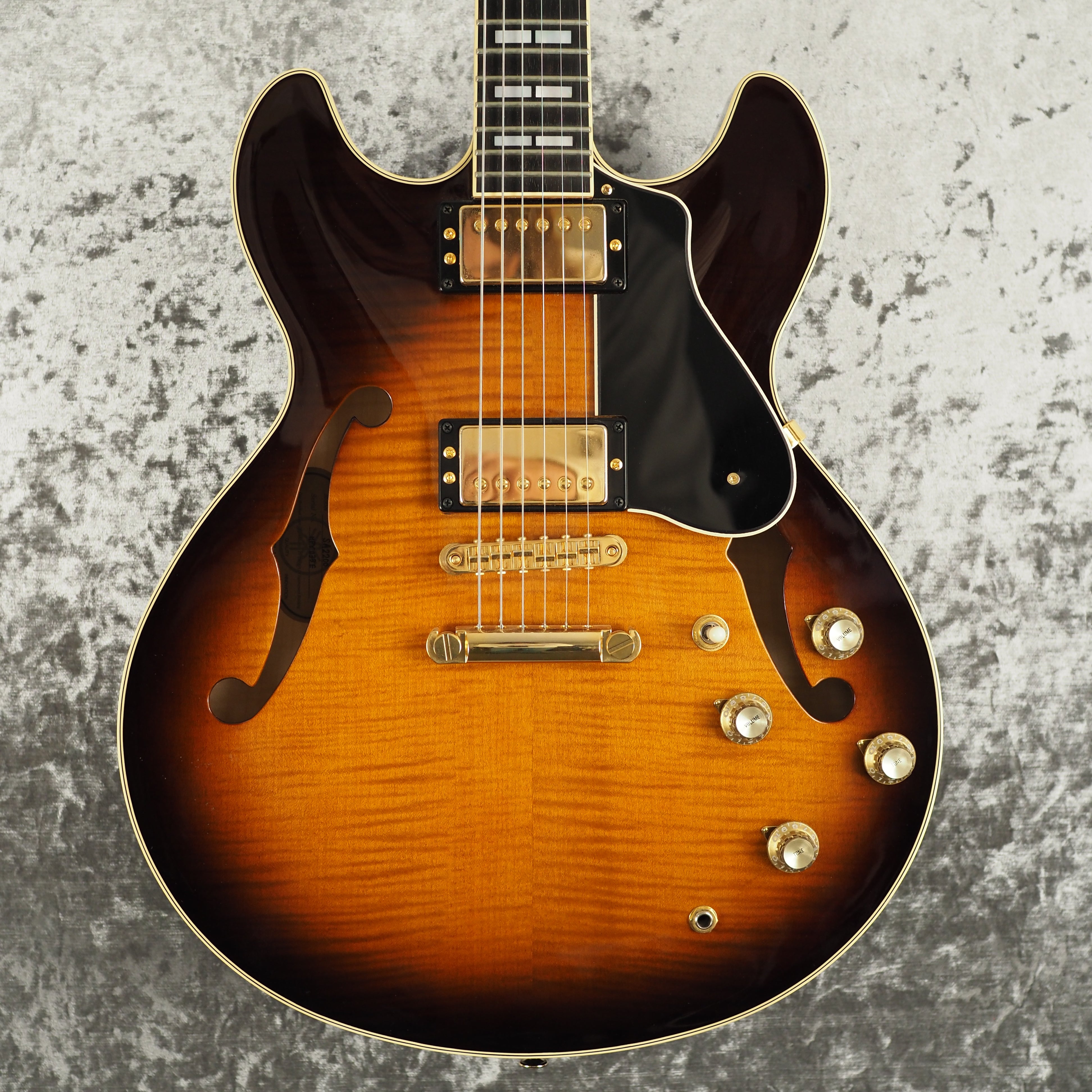 Hall of Fame: 2019 Yamaha SA2200 Semi Hollow Electric Guitar in Brown ...