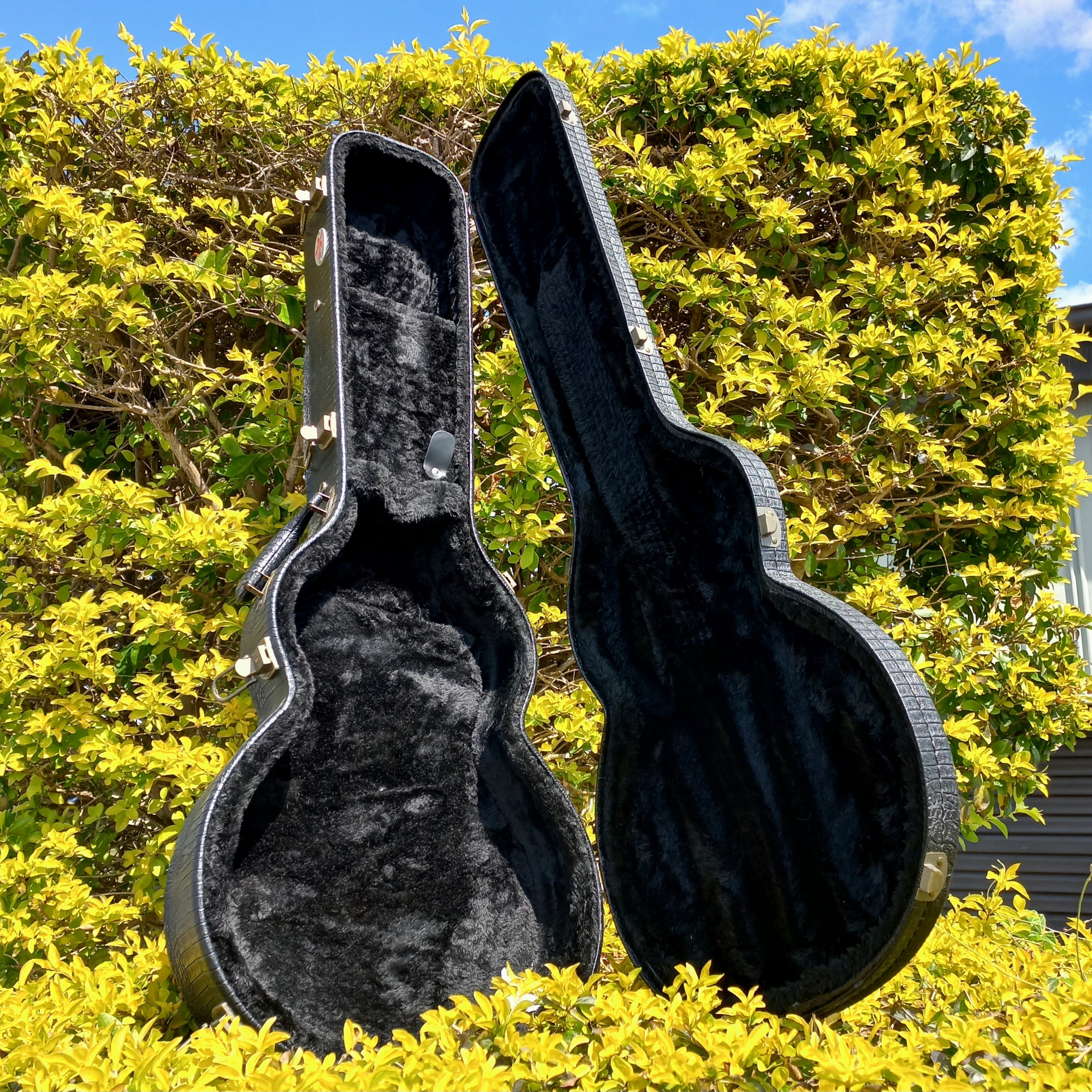 Cases & Gig Bags – Southside Guitars